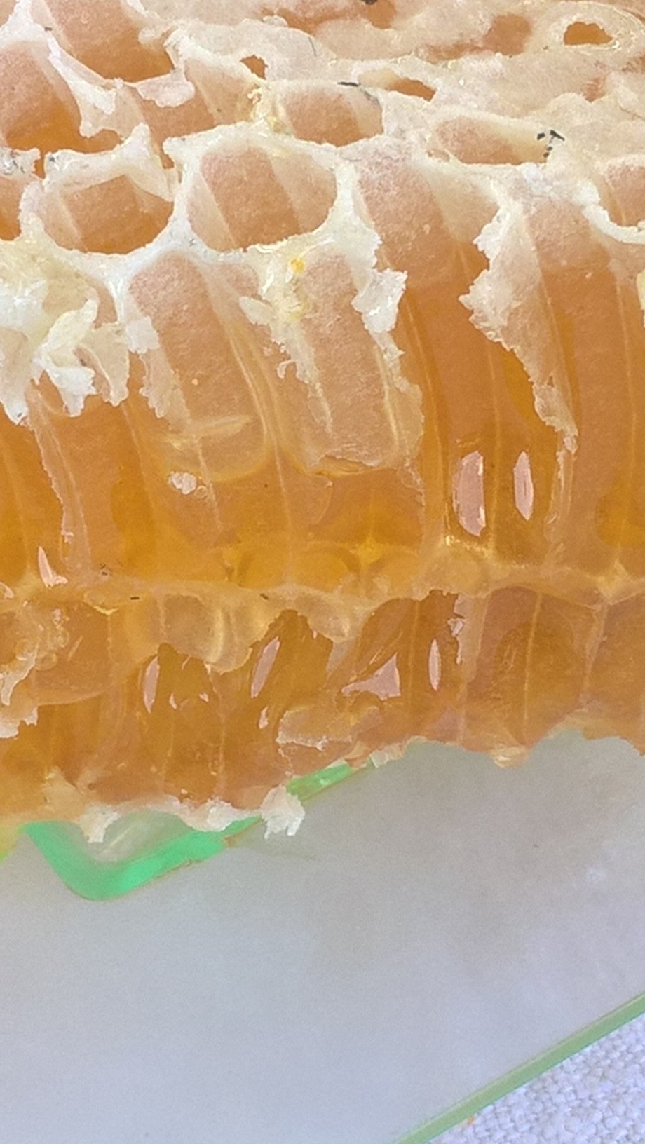 Miel en brèche, miel en rayons